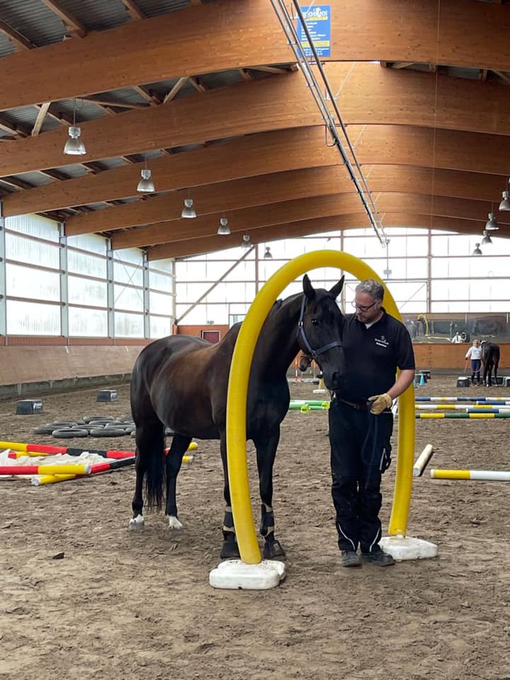Lehrgang Bodenarbeit mit Sebastian Bonnet